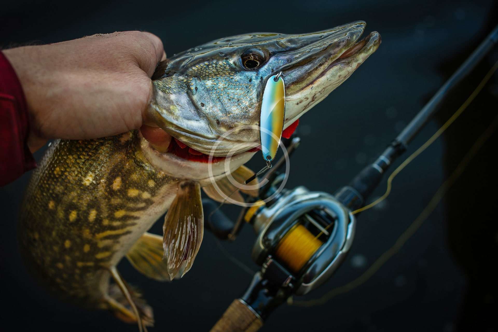 Top five fishing spots in North America - Kajang Arms